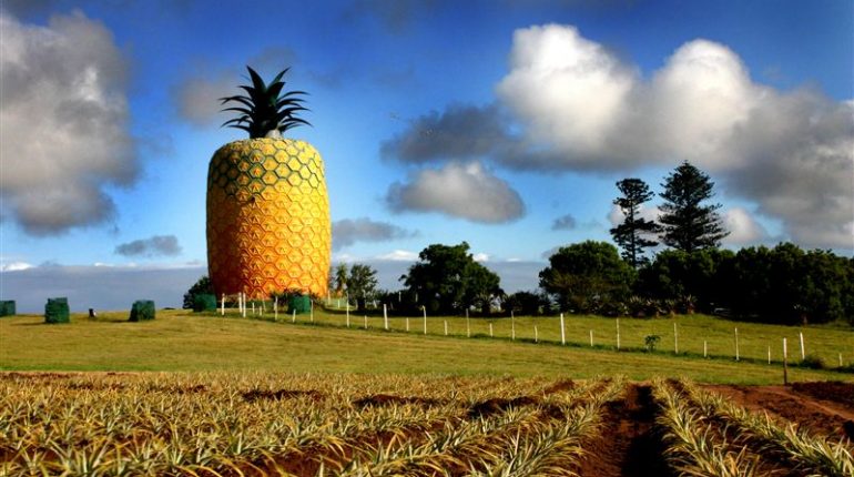 10 Of The World s Biggest Objects Ixigo Travel Stories