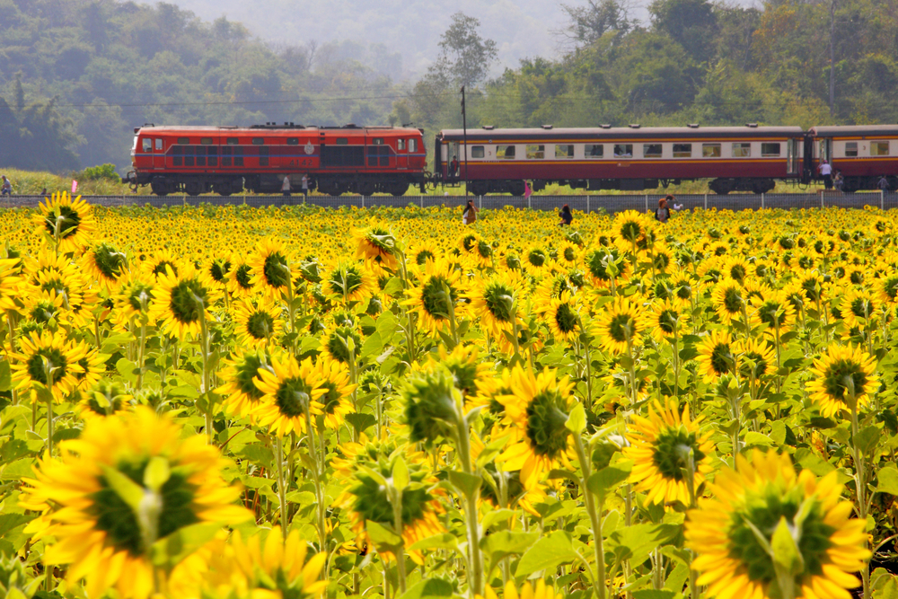 6 Reasons Why Train Travel Is The Best! | ixigo Travel Stories